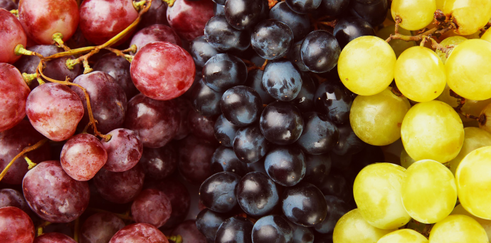 Grapes: What's the Difference?