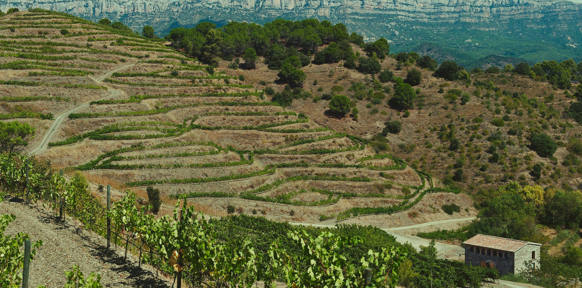 Appellation Appreciation: Priorat